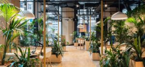 Store Directory | Midland Gate